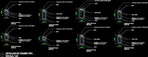 Construction Details Of Trabes Type Dwg Section For Autocad • Designs Cad