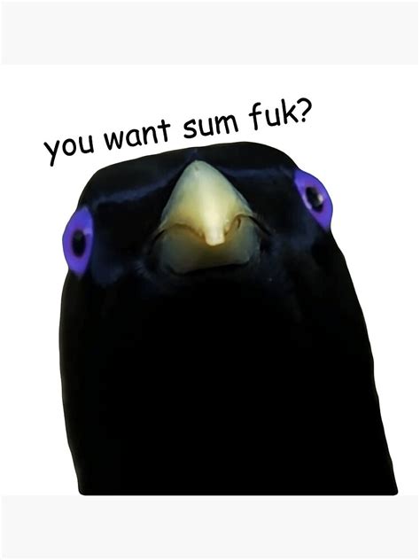 You Want Sum Fuk Postcard For Sale By Ashejia Redbubble