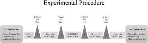 Figure 1 From The Influence Of Acute Sprint Interval Training On The Cognitive Performance Of