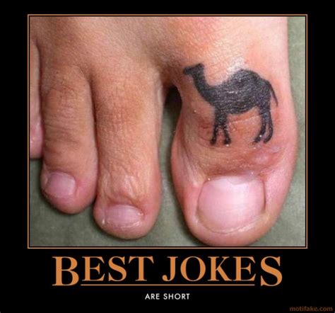 Camel Funny Quotes Quotesgram