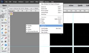 Using Snap Functions In Photoshop Elements Digital Scrapbooking HQ