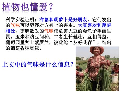 3 4生态系统的信息传递课件 共33张ppt）2023 2024学年高二上学期生物人教版选择性必修2 21世纪教育网