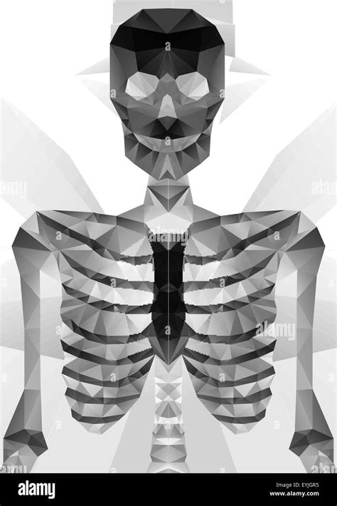 Abstract Polygonal Skeleton Stock Vector Image Art Alamy