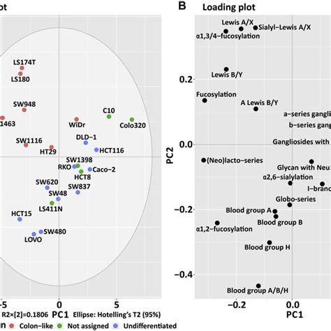 Pca Of Glycosylation Features Of Crc Cell Lines A Pca Score Plot And