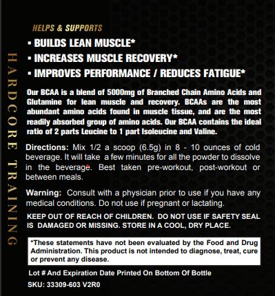 Amplify Branched Chain Amino Acids Fruit Punch Valiant Fitness