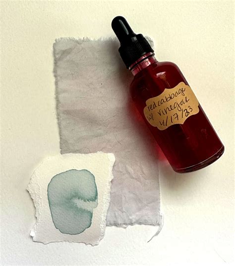 PH Tests With Red Cabbage Ashley Gerst