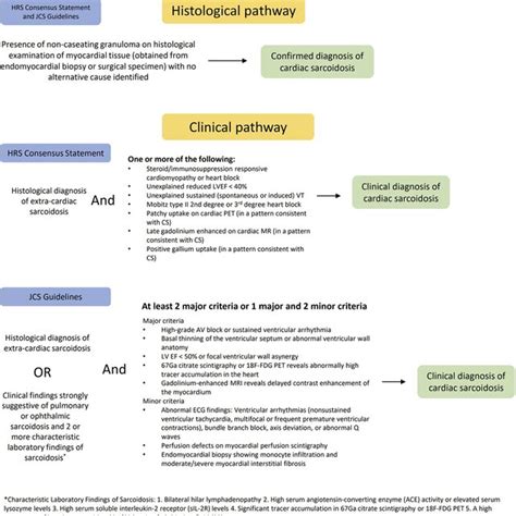 Cardiac Sarcoidosis Diagnostic Criteria Outlined In The Hrs 2014