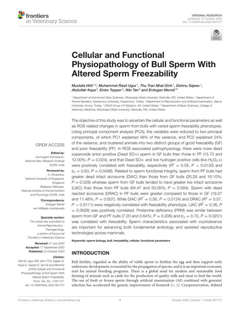 Pdf Cellular And Functional Physiopathology Of Bull Sperm With