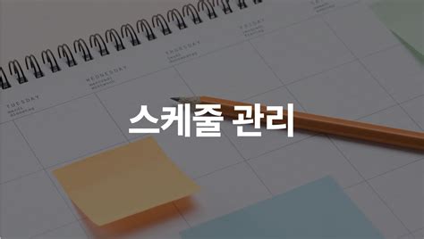 스케줄 관리