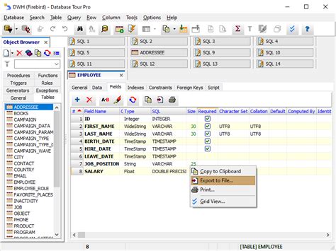 Working With Databases In Screenshots Database Tour