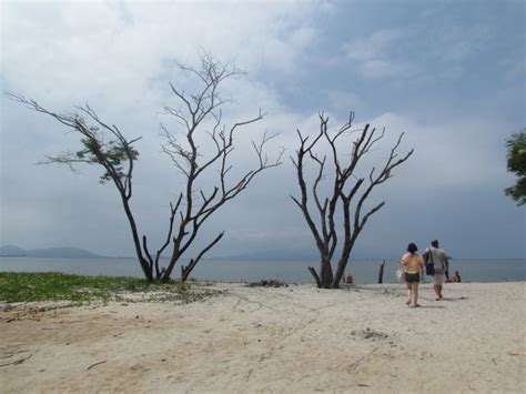 Praia Da Reserva Do Sahy Mangaratiba Rio De Janeiro Em 2022 Rio De