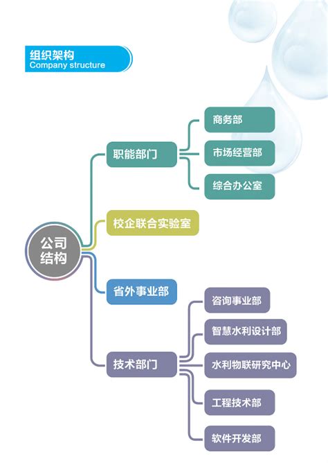 组织架构浙江滴石信息技术有限公司