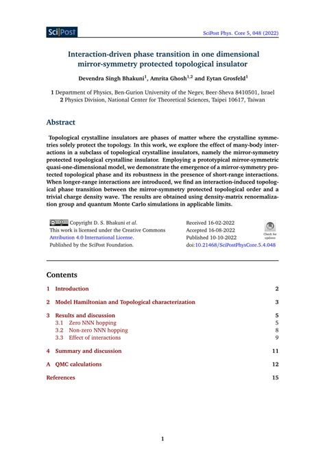 PDF Interaction Driven Phase Transition In One Dimensional Mirror