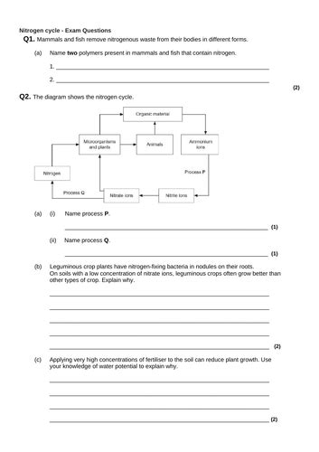 Aqa Alevel Biology Nitrogen Cycle Teaching Resources