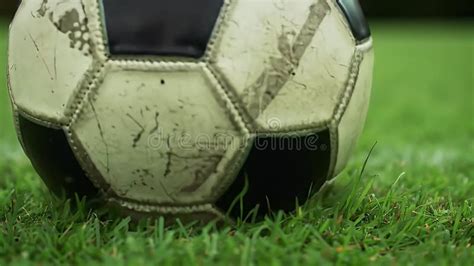 Worn Soccer Ball On Grass Stock Footage Video Of Leisure 383426676