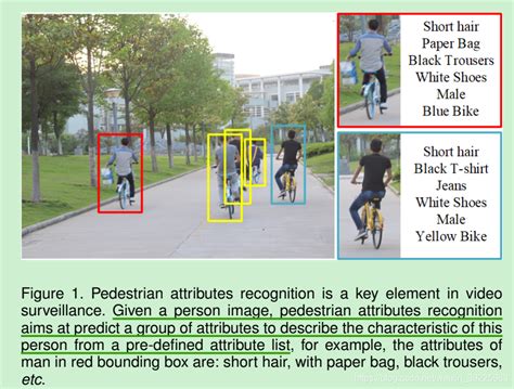 论文笔记pedestrian attribute recognition（par） a survey pedestrian