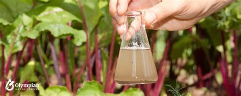 The Different Types Of Water Sampling Techniques And Their Applications In Voc Testing