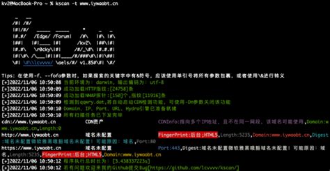 Kscan Simple Asset Mapping Tool