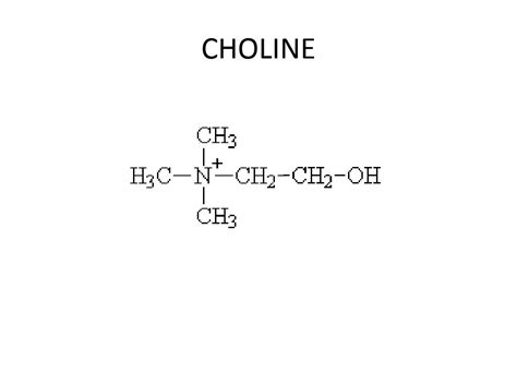 Choline Unlocked Health Benefits Of Choline Kevin Foodie