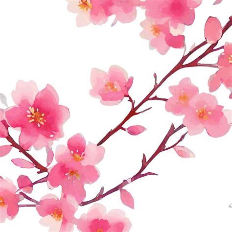 Premium Vector Watercolor Branches And Cherry Blossoms