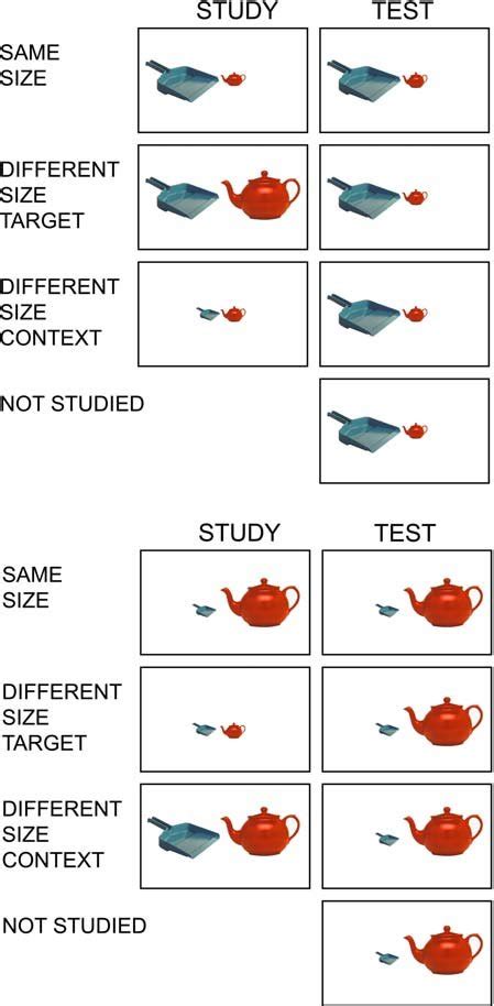 Examples Of Object Pairs Displayed In Large Vs Small Relative Size At
