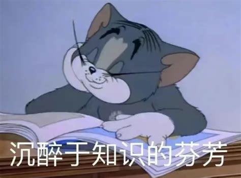 Python在人工智能中的优势有哪些？ 知乎