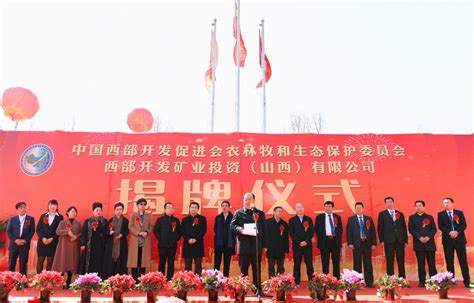 绿色 匠坛网