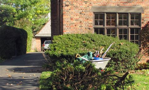 Garden A To Z Yews Cut Hard