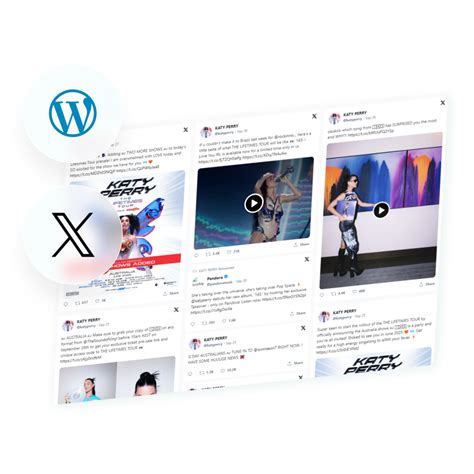 How To Add Twitter Feed To Wordpress Twitter Feed Plugin Widget