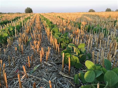 Pramel Kumar Gupta On Linkedin Regenerative Agriculture Is More Profitable Than Conventional