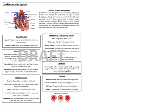 Aqa Gcse Revision Booklet Teaching Resources