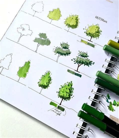 Howtodrawtrees Architecture Tree Sketching Tips Artofit