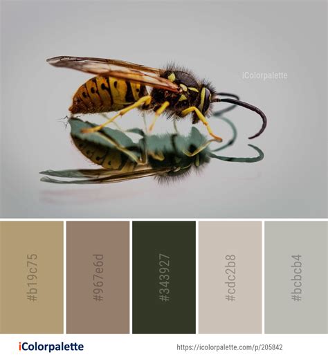 Color Palette Ideas From Insect Pest Invertebrate Image Icolorpalette