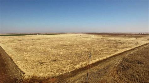 Crp Grass In Lamb County Clift Land Brokers