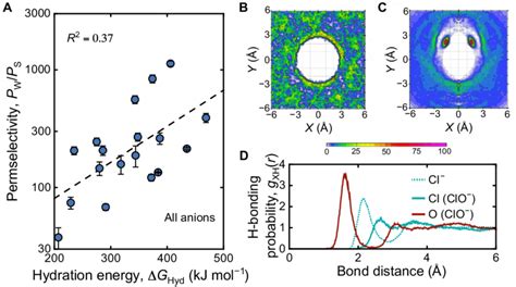 Assessing Bulk Ion Solvation As A Primary Metric For Ion Selectivity In Download Scientific