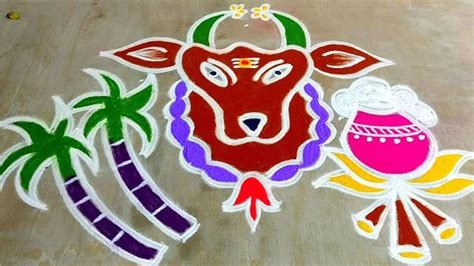 மாட்டு பொங்கல் அன்று மாடு கோலம் வரைவது எப்படி Mattu Pongal Rangoli Kolam Times Now Tamil