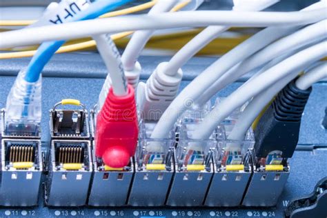 Switch Board With Connected Network Cables Stock Image Image Of Connection Connect 295913533