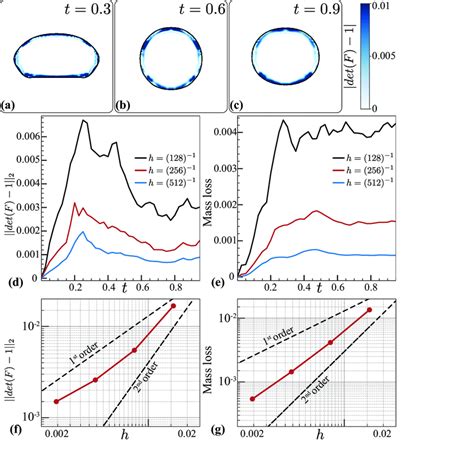 Figure C 11 Convergence Of Incompressibility Errors Inside The Solid Download Scientific
