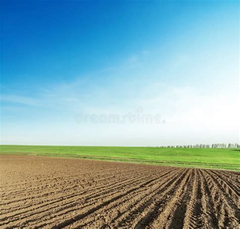 Agriculture Ploughed Field And Green On Horizon In Sunset Time Blue