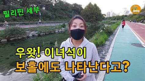 이런 행운이 필리핀 보홀에서 이녀석을 만날수가 있다니 [세부맘tv] Youtube