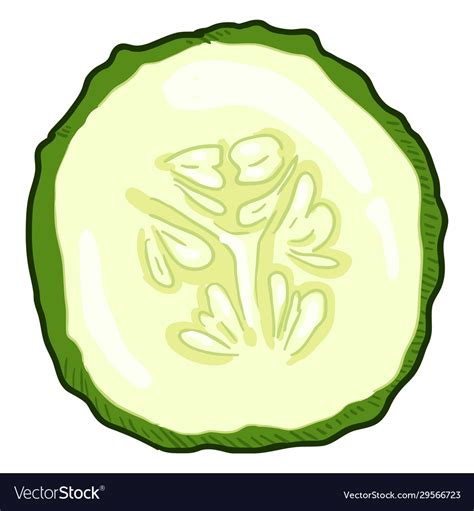 Clipart Cucumber Slice Sliced Cucumber Stock Illustrations 9 098
