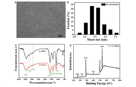 Morphological And Structural Characterization Of L D Cys Cdots A