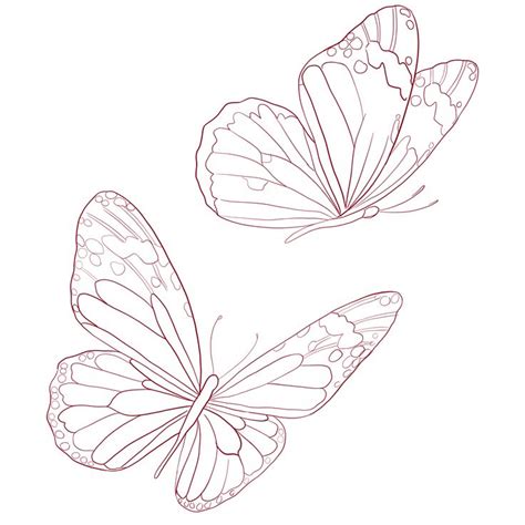 Pin By 224tattooshop🇬🇳 On Idee Tattoo Butterfly Tattoos Images