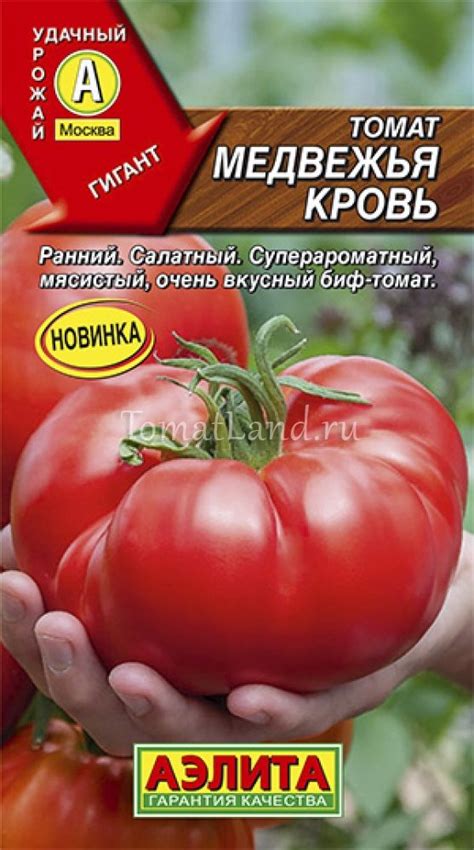 Томат Медвежья Лапа Отзывы Фото Урожайность Характеристика ...