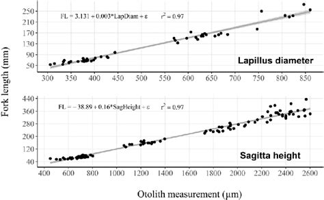 Linear Models Of Lapillar Otolith Diameter And Sagittal Otolith Height Download Scientific