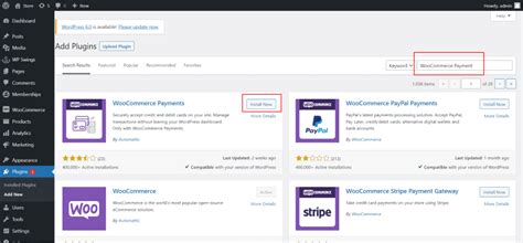 WooCommerce Payments Setup Types Analogy WP Swings