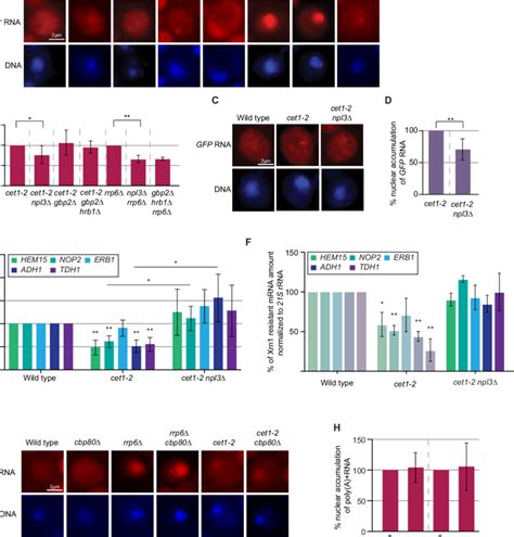 Npl3 Mediates The Nuclear Retention Of Pre MRNAs With Defective