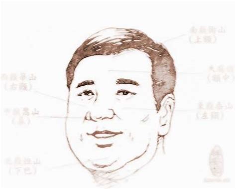 男人面相学 额头 面相学
