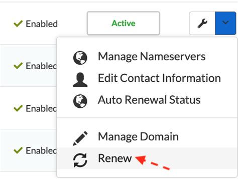 How To Renew Domain Name Before Expiry Date Global Support Portal