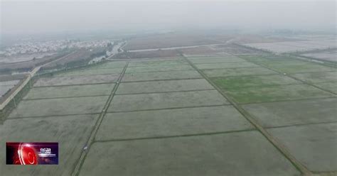 走基层 东浦村：做好土地资源谋划 加快乡村振兴步伐指前镇